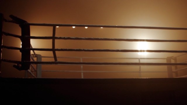 ¡El combate por la productividad y eficiencia sigue en el ring! Linde ...